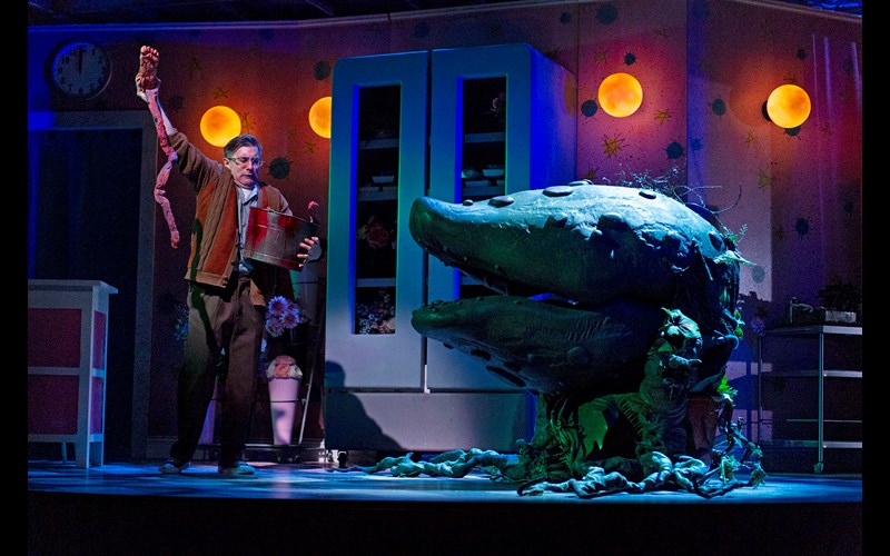 Little Shop of Horrors | South Coast Repertory