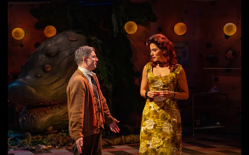 Little Shop of Horrors | South Coast Repertory