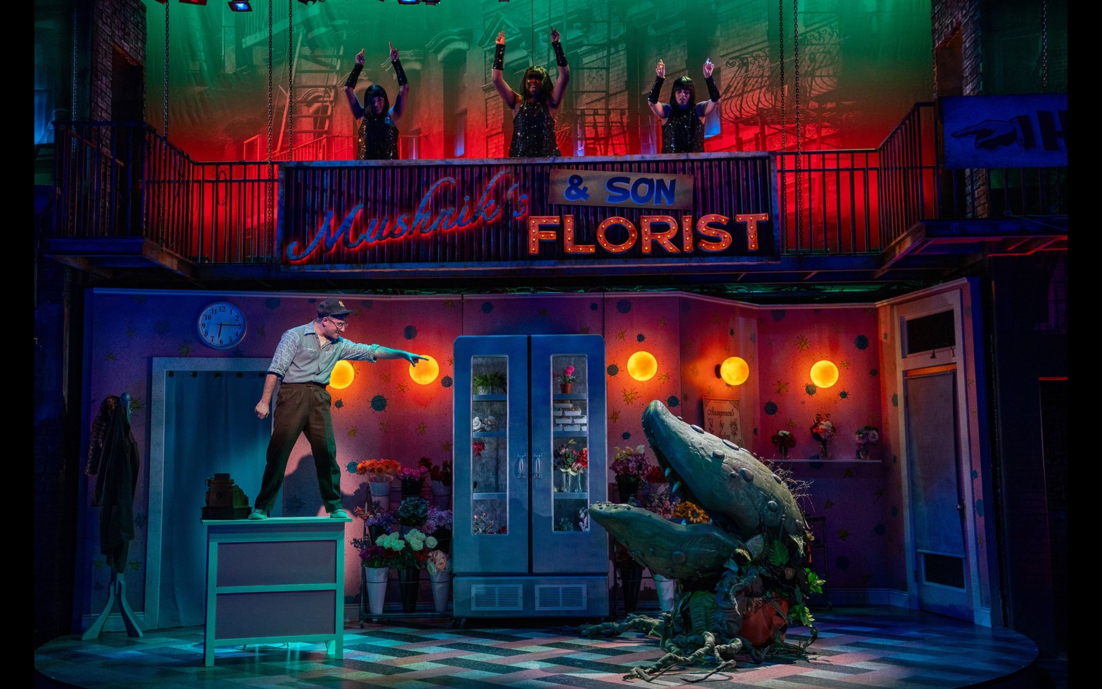 Little Shop of Horrors | South Coast Repertory